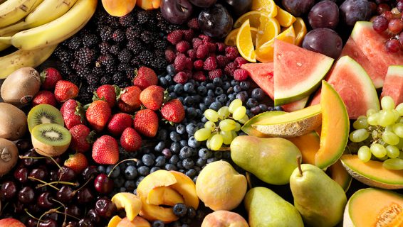 Home - Mindful by Sodexo